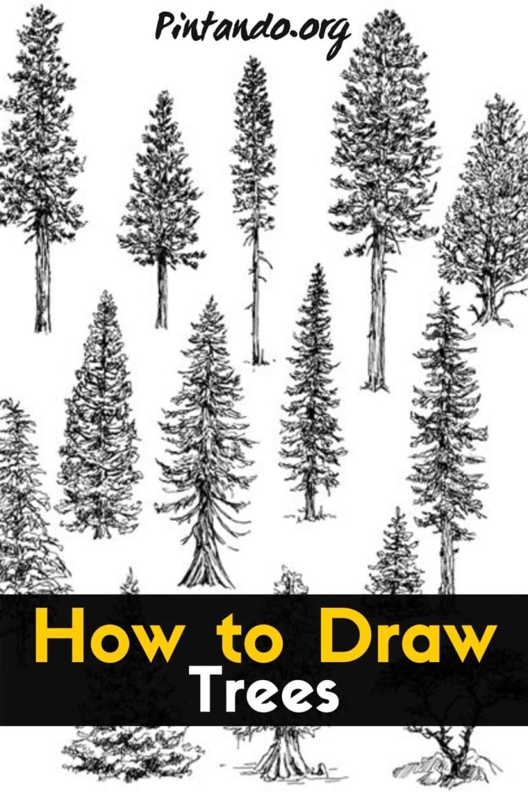 How to Draw Trees Step by Step - Pintando.org