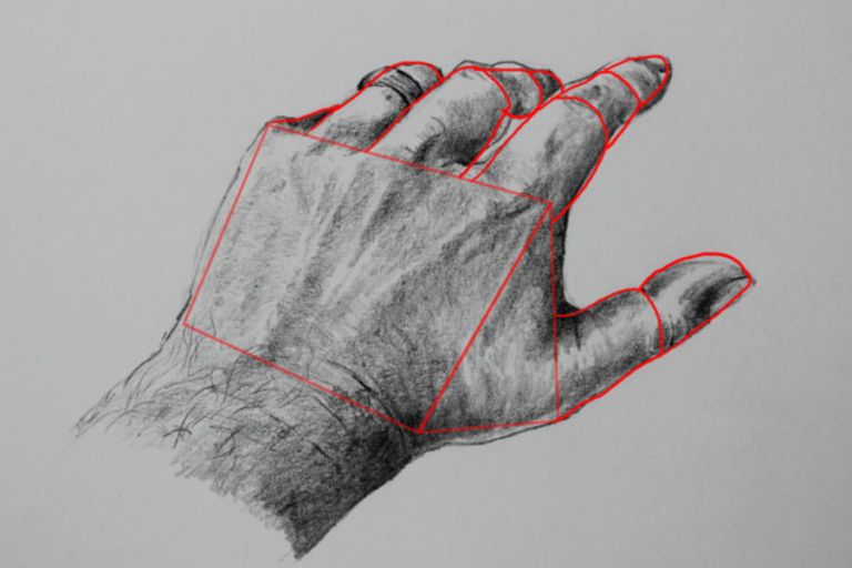 How to Draw a Realistic Hand - Pintando.org