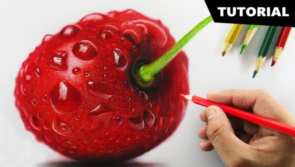 Cherry Illustration with Colored Pencils: A Beginner's Tutorial - Pintando.org