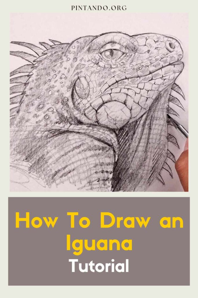How To Draw an Iguana: Tutorial - Pintando.org