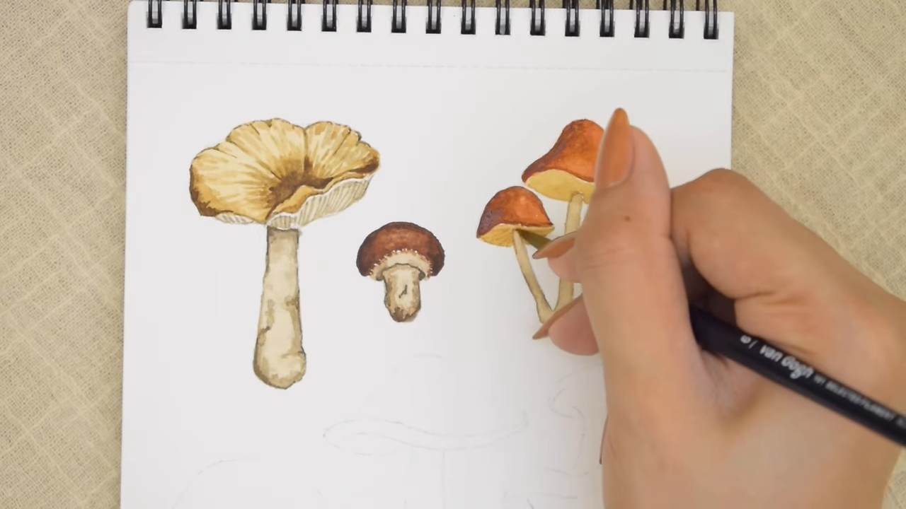 Easy Mushrooms: Watercolor Painting Tutorial - Pintando.org