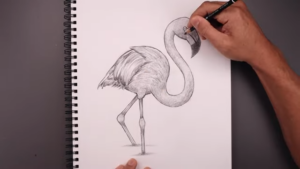 How To Draw a Flamingo: Sketch Tutorial - Pintando.org