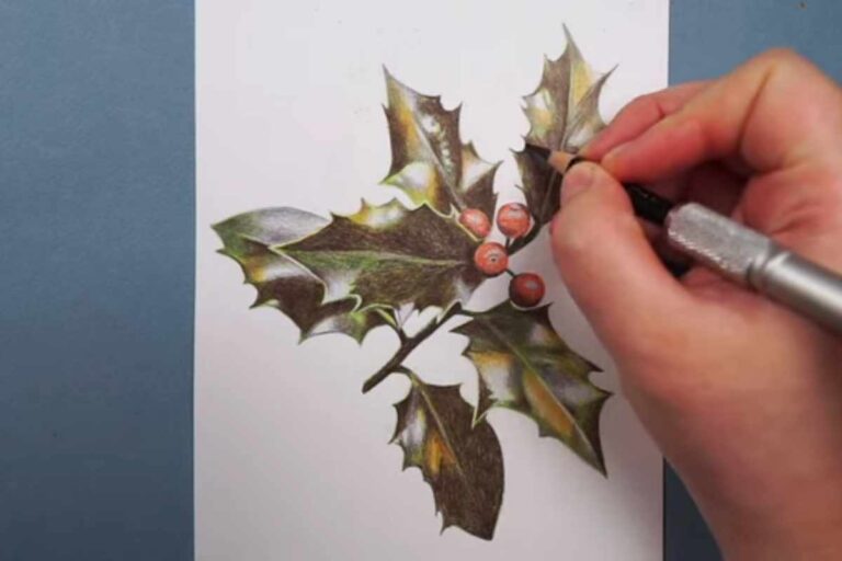 How to Draw Holly Leaves: Colour Pencil Drawing - Pintando.org