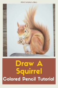 Draw A Squirrel: Colored Pencil Tutorial - Pintando.org
