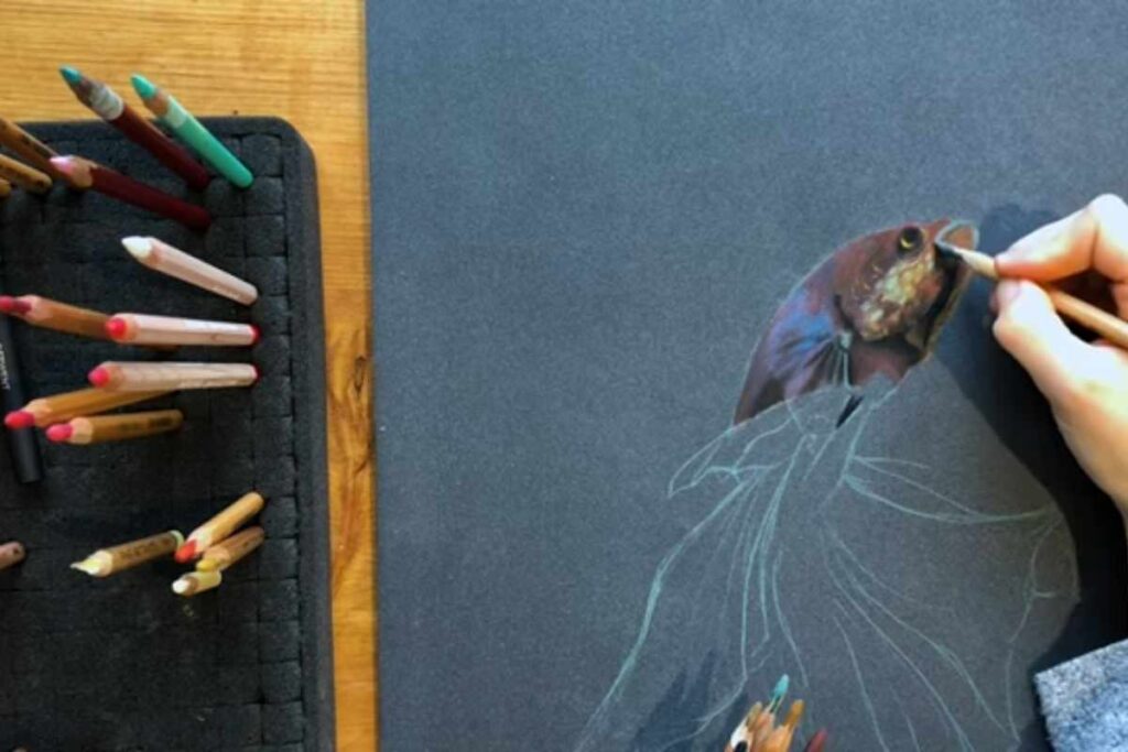 How To Draw a Fish: Pastel Pencil Tutorial - Pintando.org