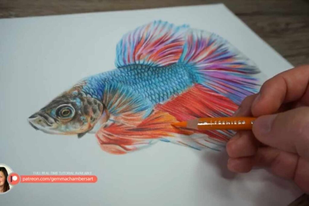 Draw Realistic Fish Scales: Colour Pencil Tutorial - Pintando.org