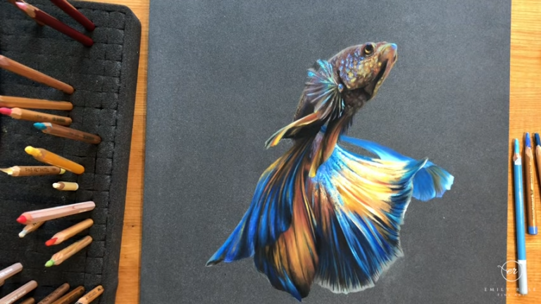 How To Draw a Fish: Pastel Pencil Tutorial - Pintando.org
