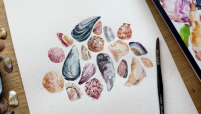 Watercolor shells: Using "Loose Detail" Technique - Pintando.org